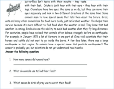 Short-Answer Questions – Item Writing for Language testing